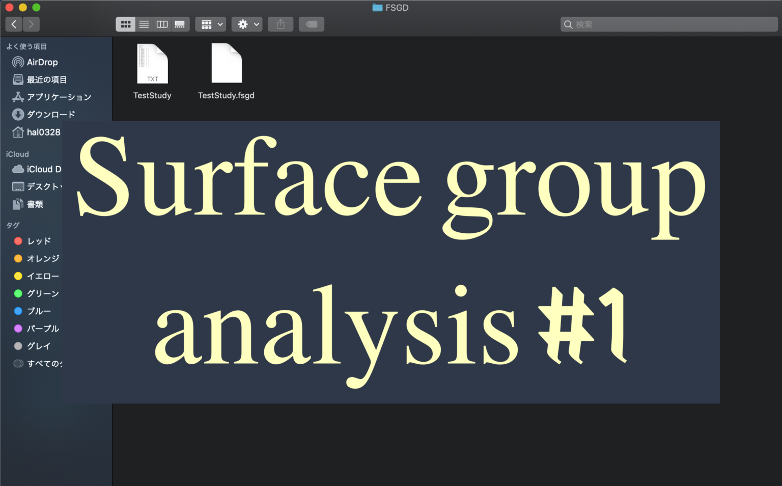【FSGD file】FreeSurferを用いたSurface group analysis #1 | HALnote