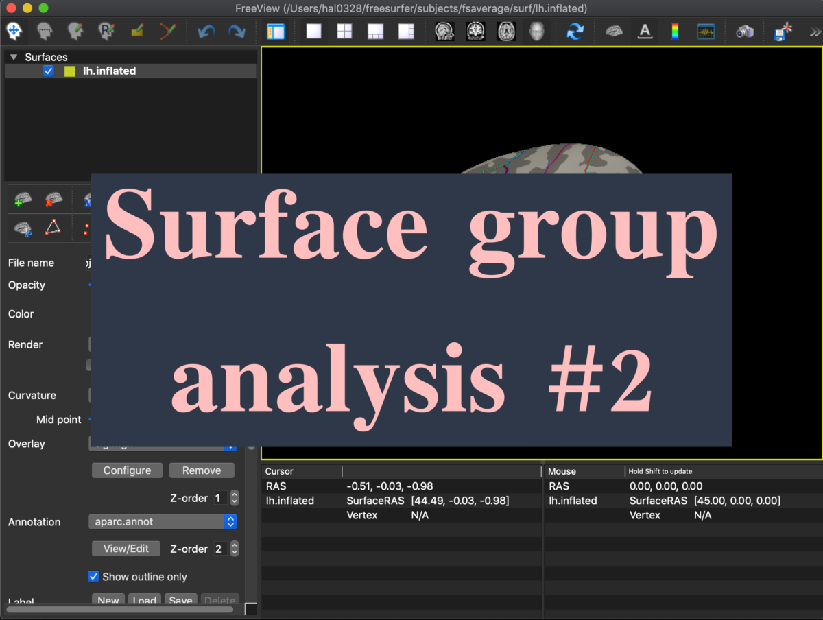 【mris_glmfit】FreeSurferを用いたSurface group analysis #2 | HALnote