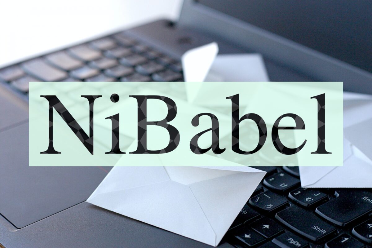 【Nibabel】脳画像をPythonで読み込む方法 | HALnote