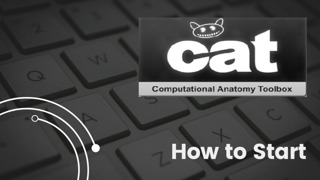 SPM拡張ツール”CAT12″の導入方法まとめ | HALnote