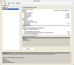 【CAT12】Surface-based morphometryの手順について | HALnote